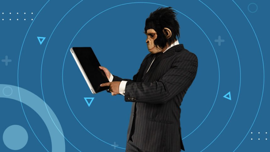 Monkeysoft Academy - Monkeysoft software de altura